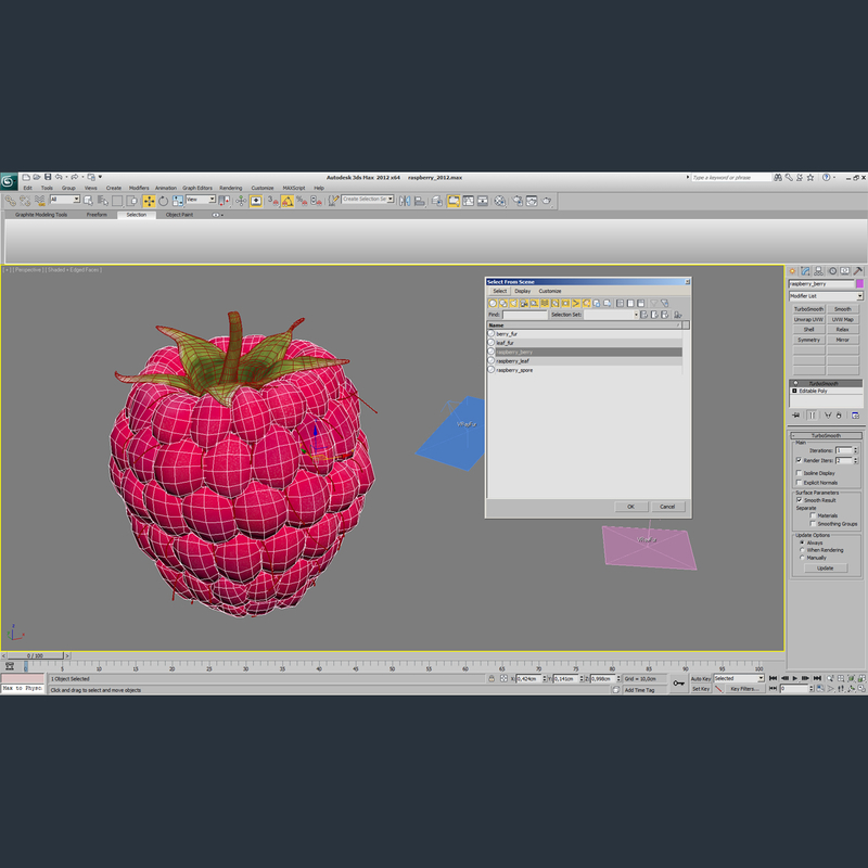 fresh raspberry 3d model