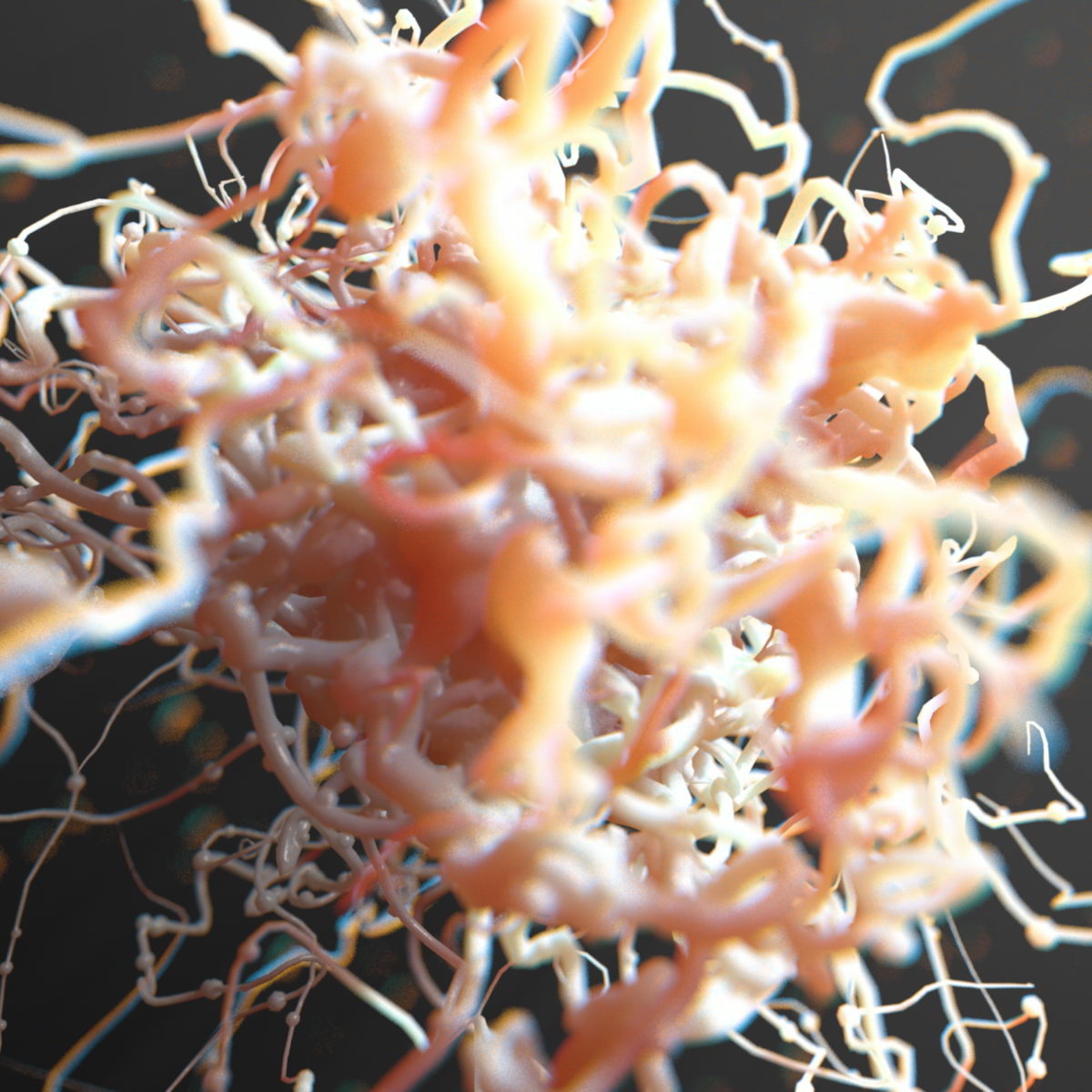 3d organic object model