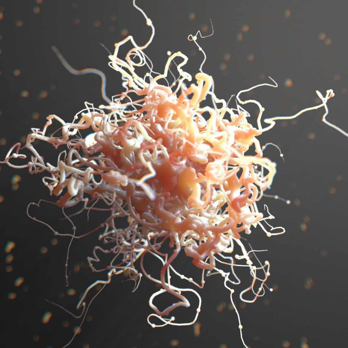 3d organic object model