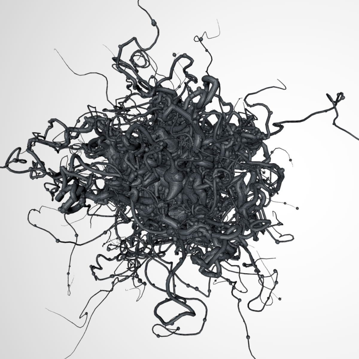 3d organic object model