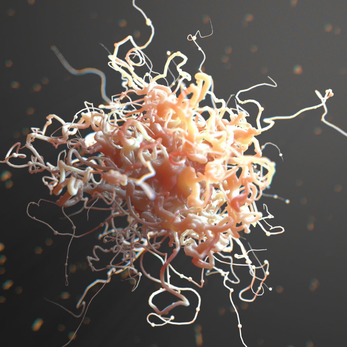 3d organic object model