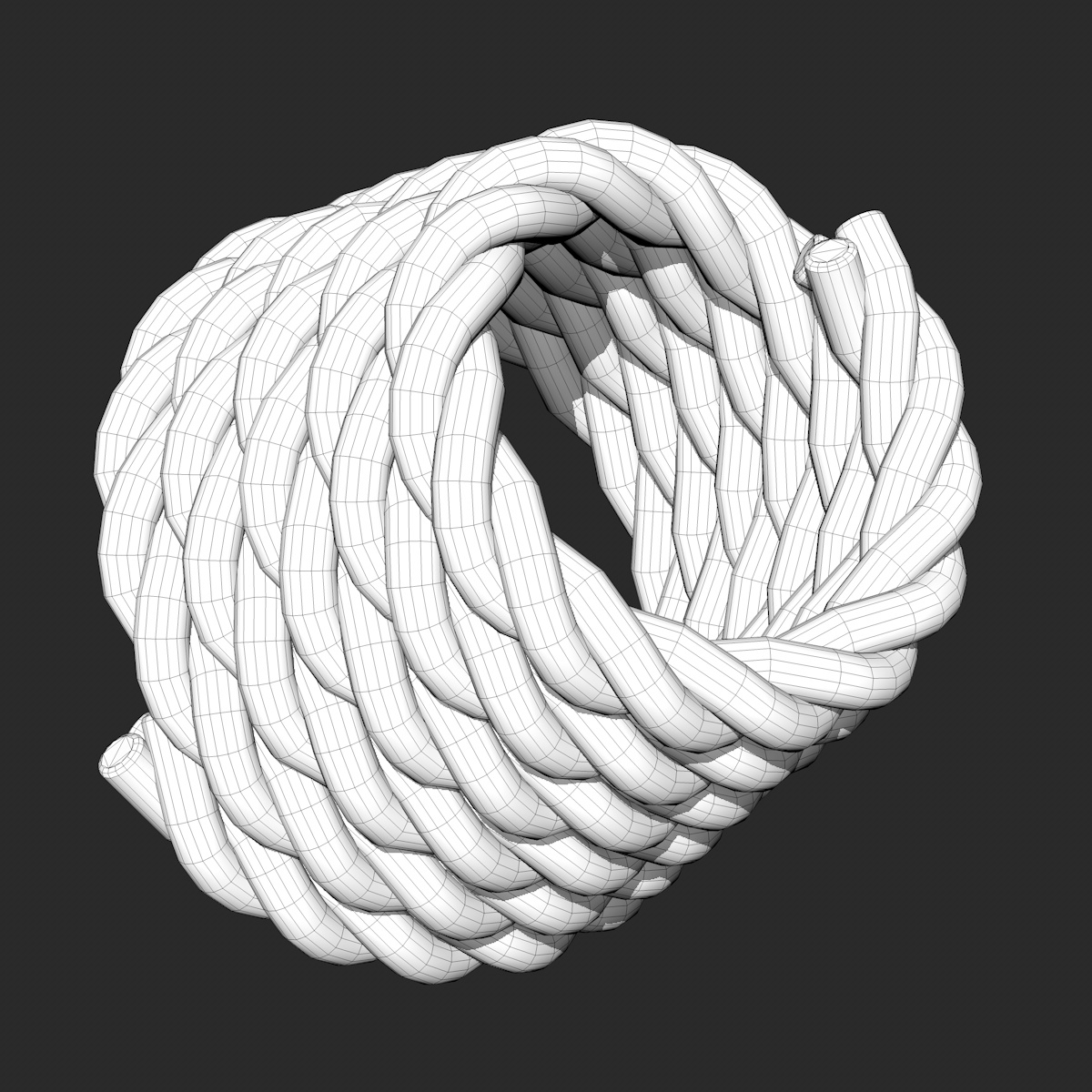 3d rope