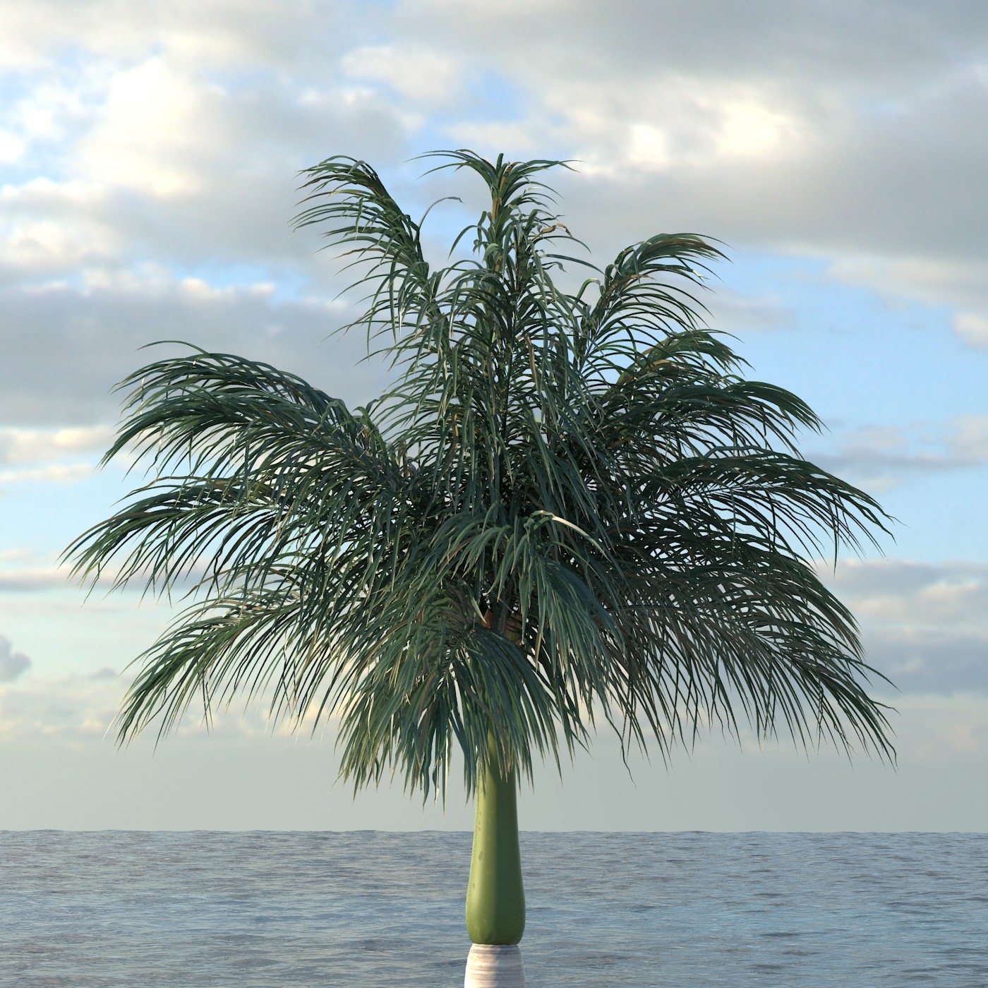 royal palm tree max