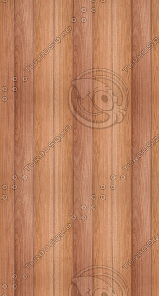 Texture JPEG wood door architecture