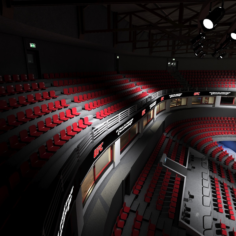 ufc fighting arena max