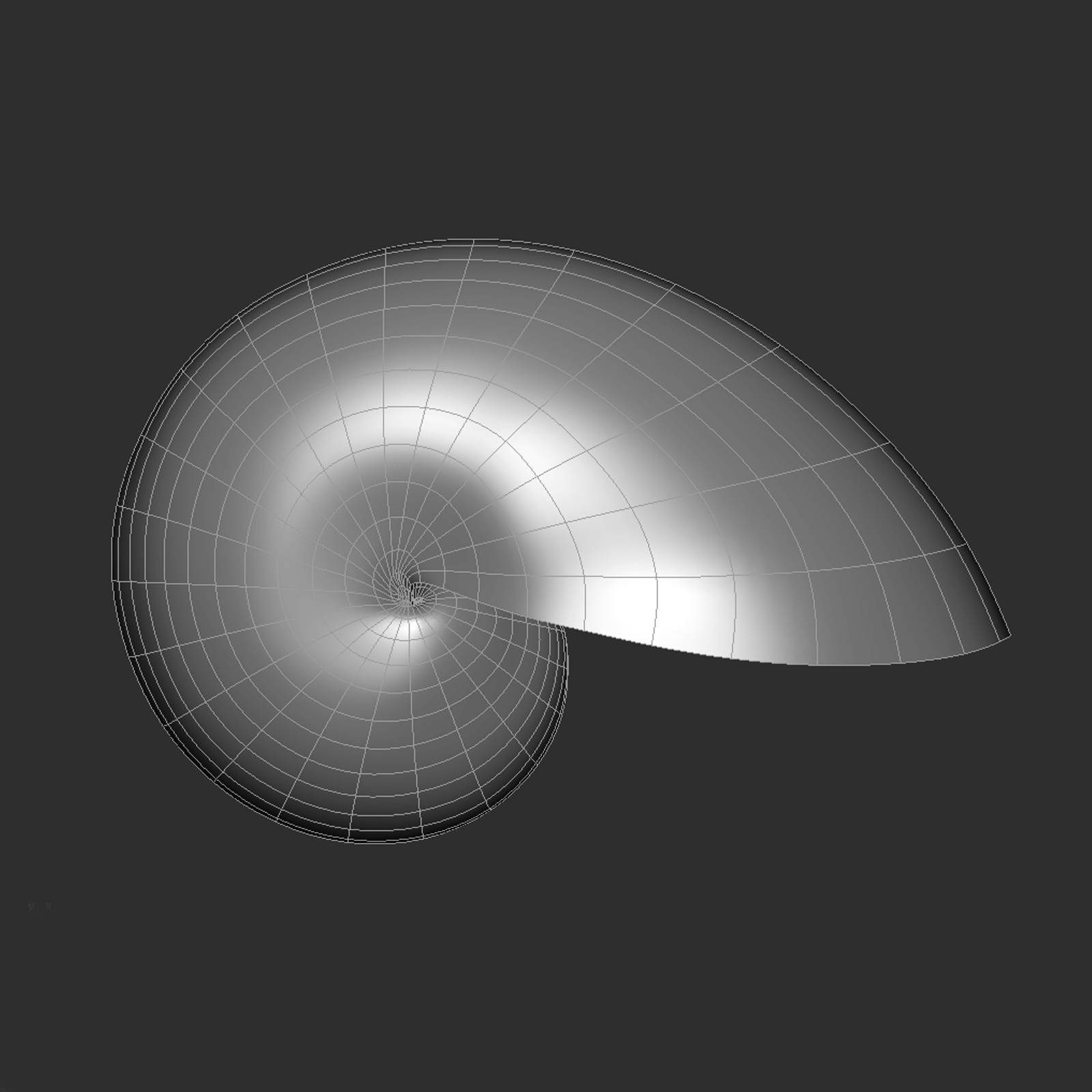 nautilus shell 3d model