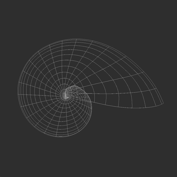 nautilus shell 3d model