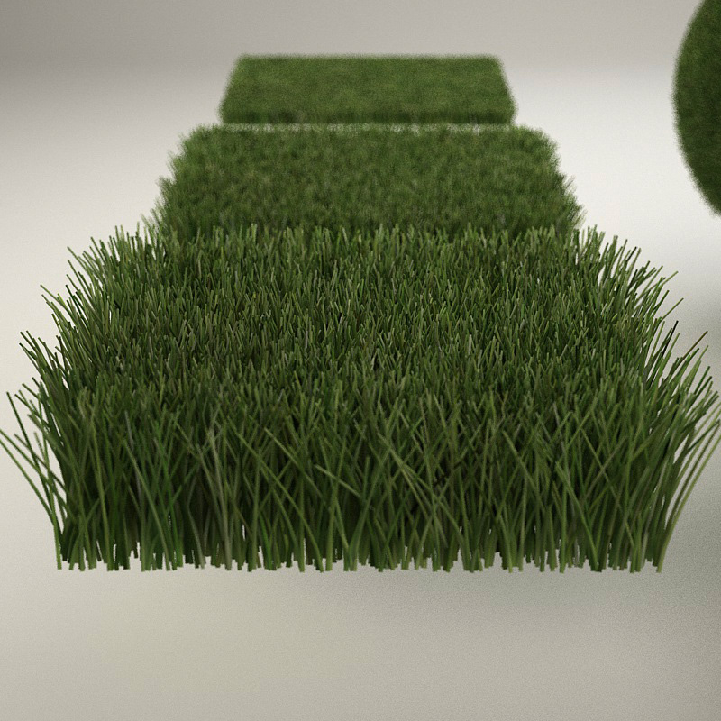3d grass