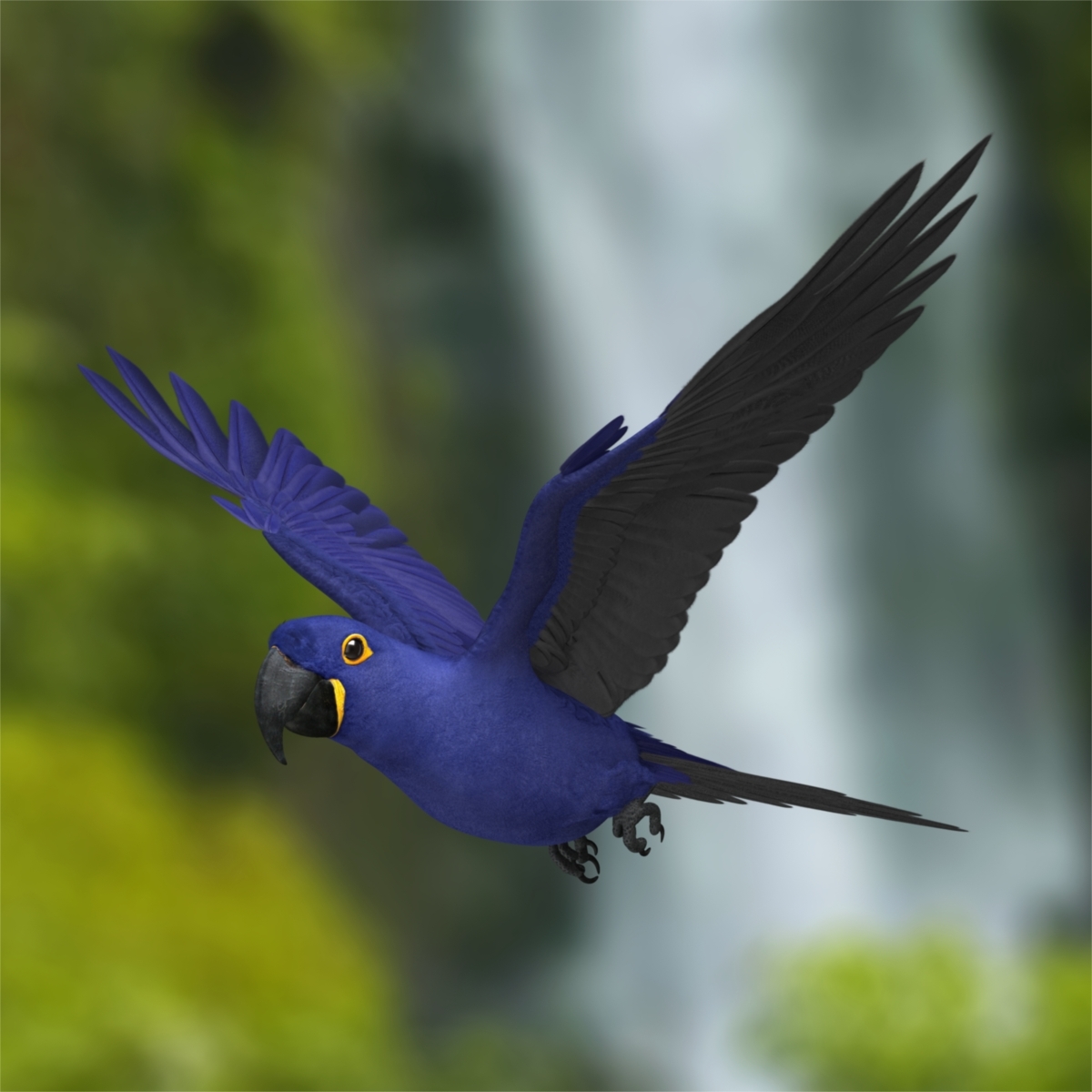 3d macaw parrots