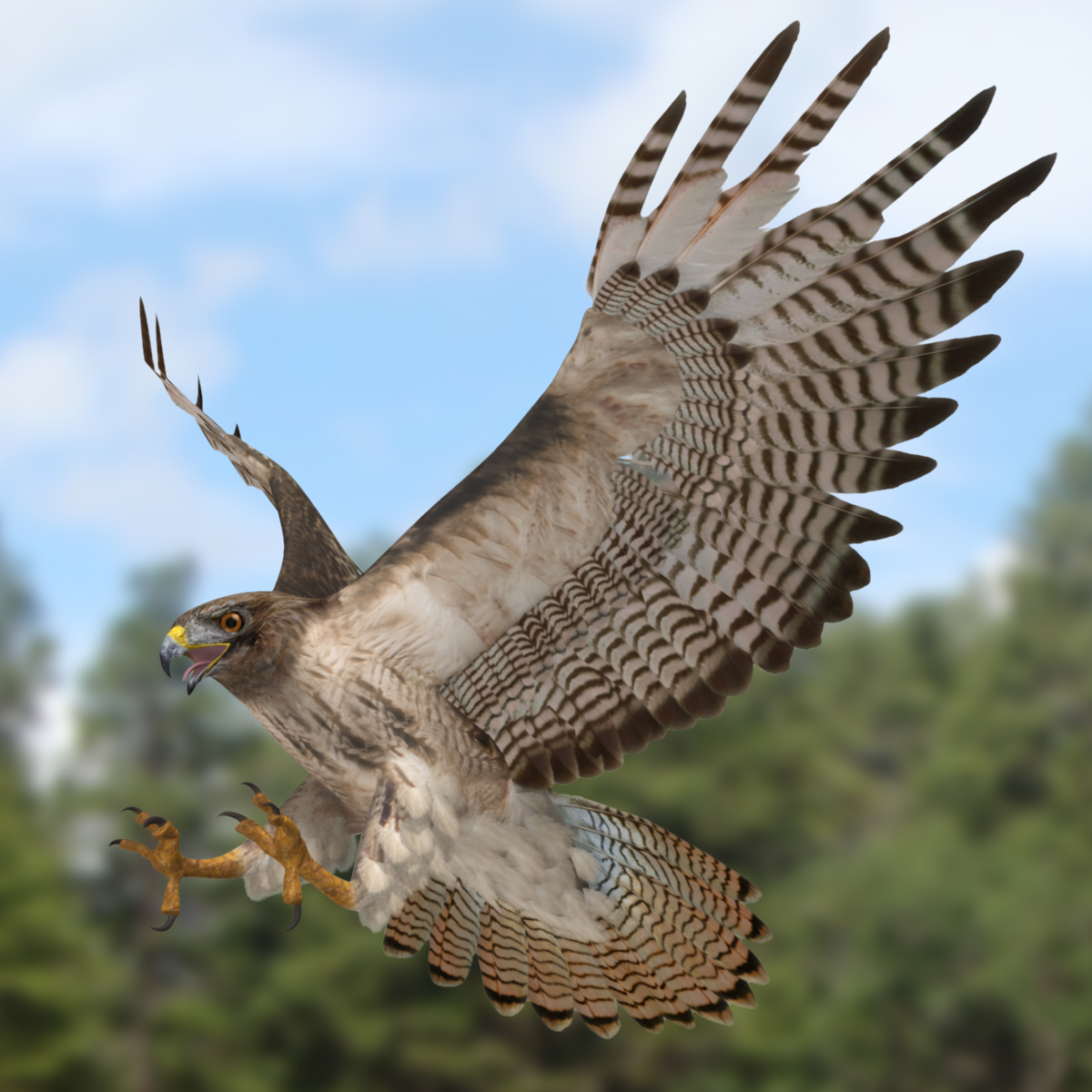 3d model birds prey
