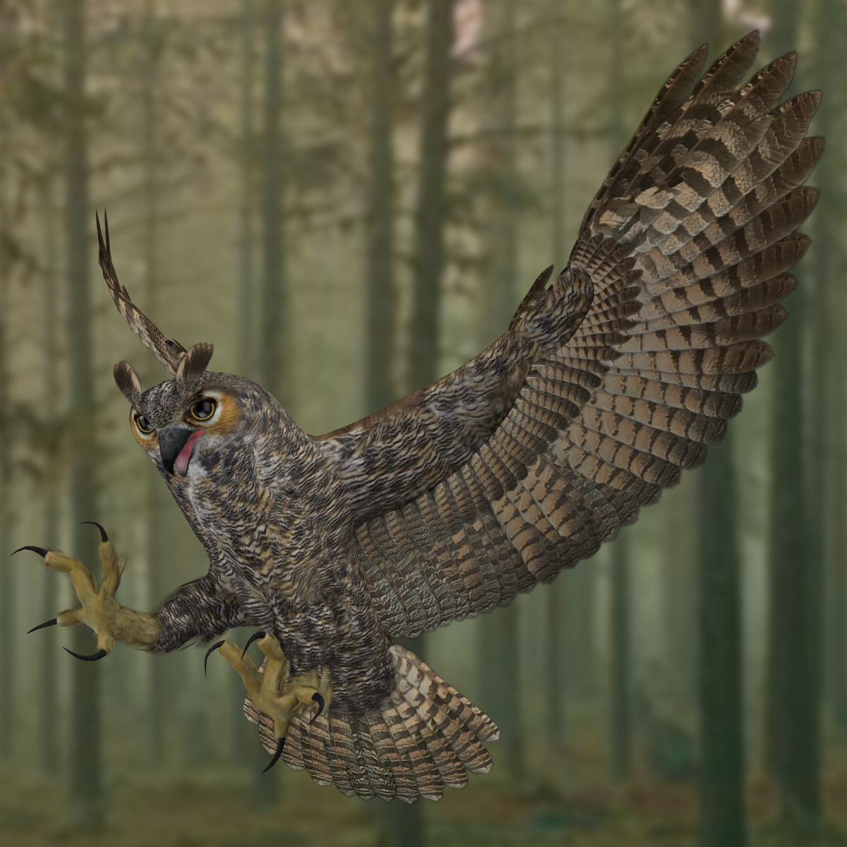 3d model birds prey