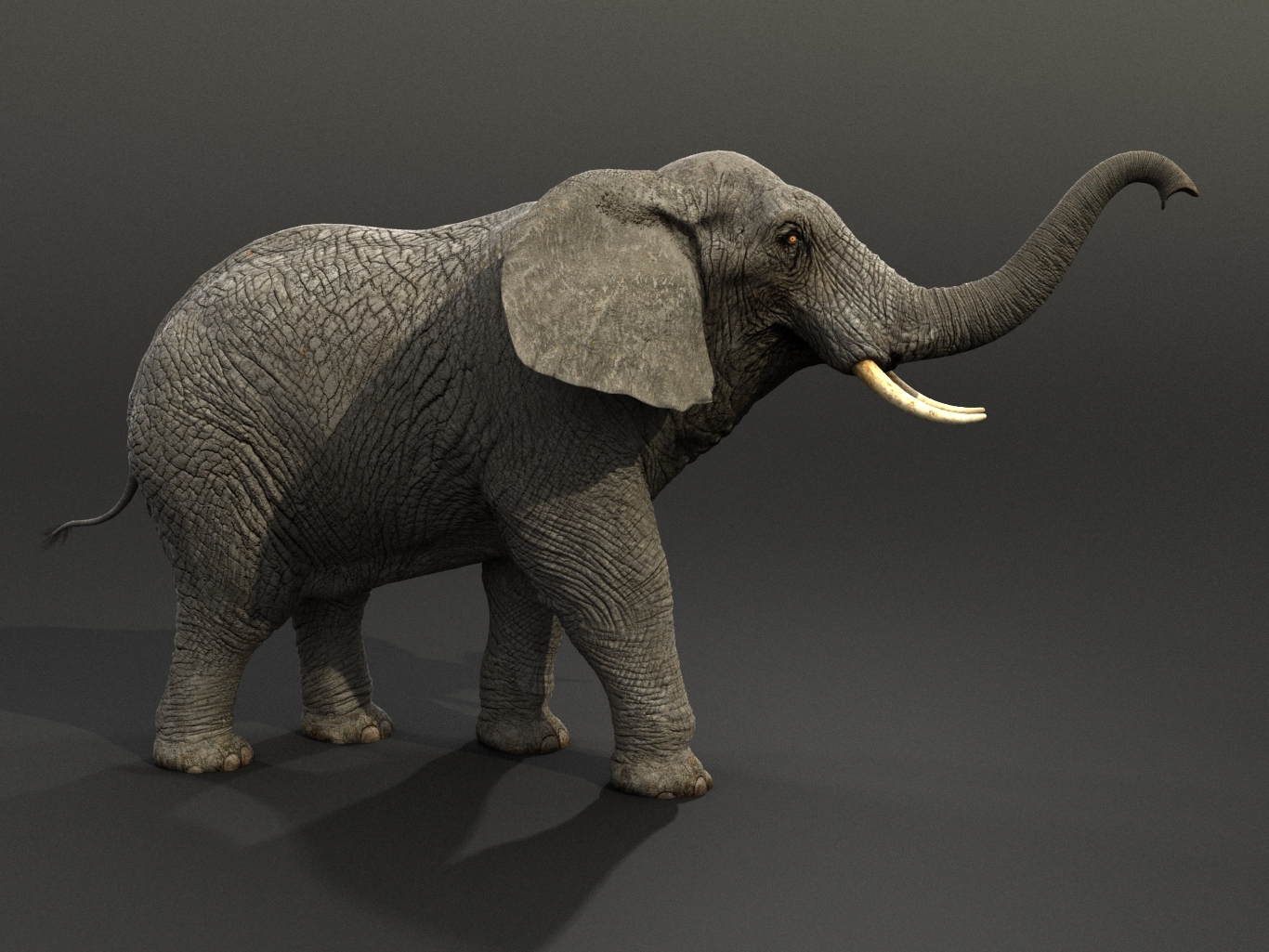 max realistic elephant rigged