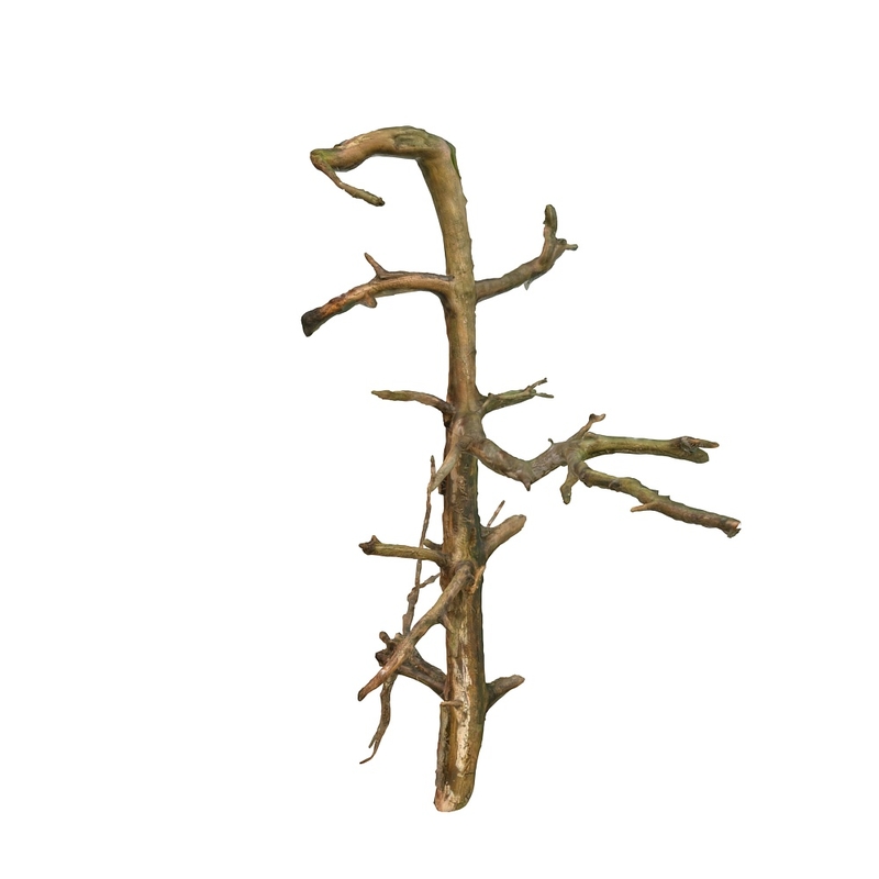 tree branch 3d model
