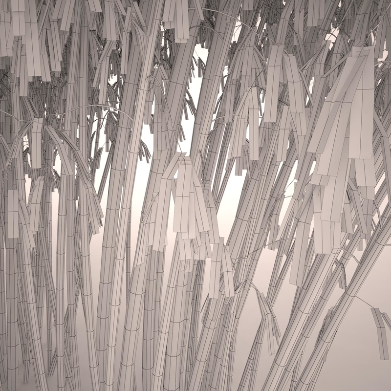 3d model bambusa golden bamboo set