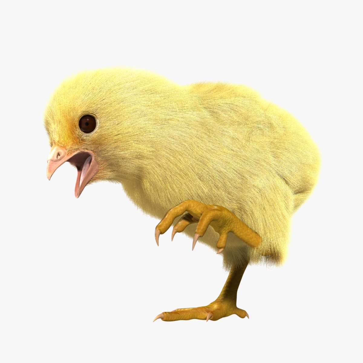 chick animation 3d model