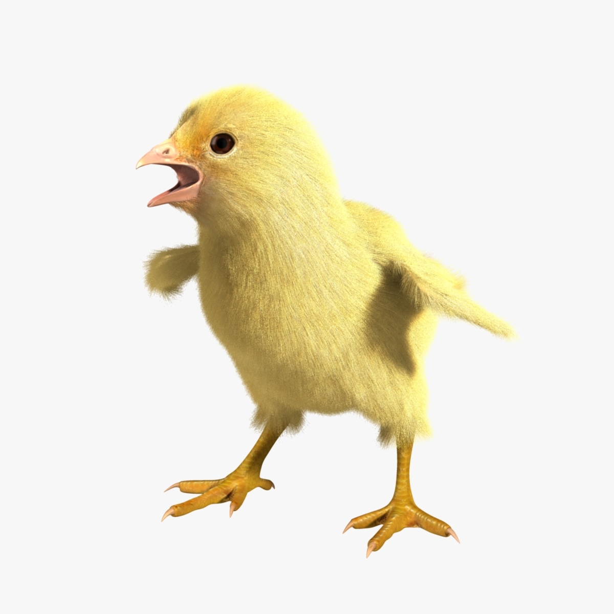 chick animation 3d model