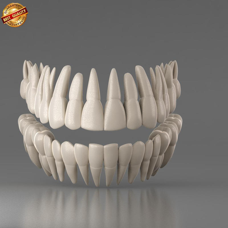 human teeth obj