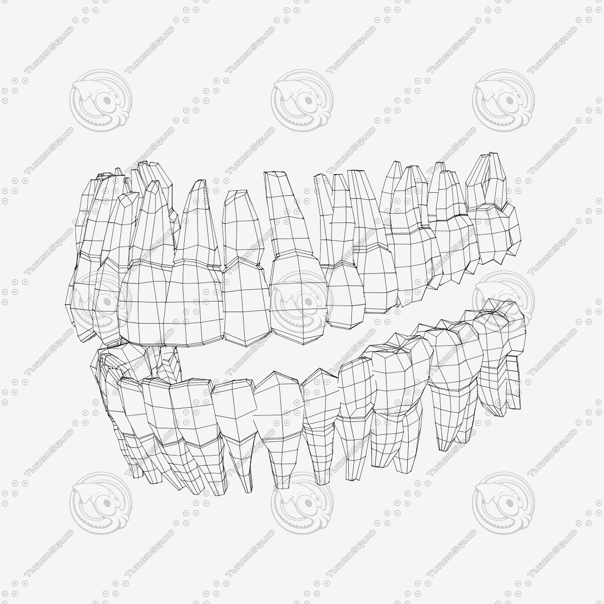 human teeth obj