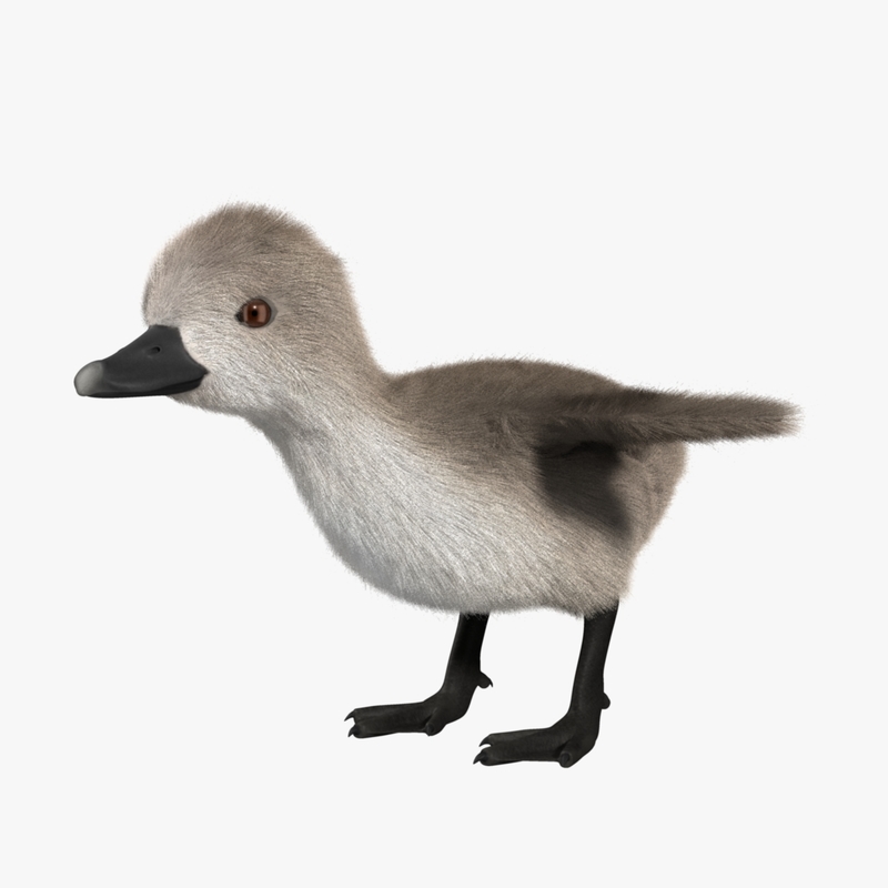 maya cygnet animation fur