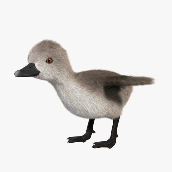 maya cygnet animation fur