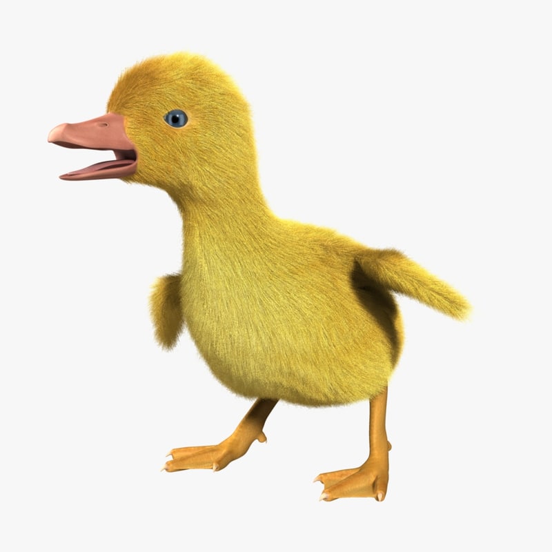 maya duckling animation fur