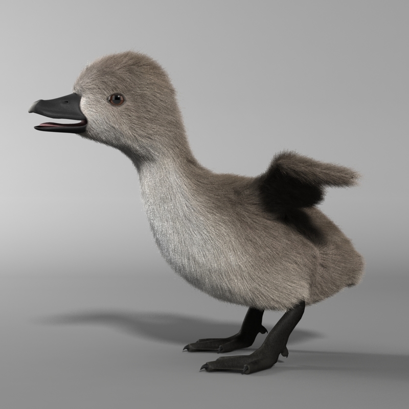 maya cygnet animation fur