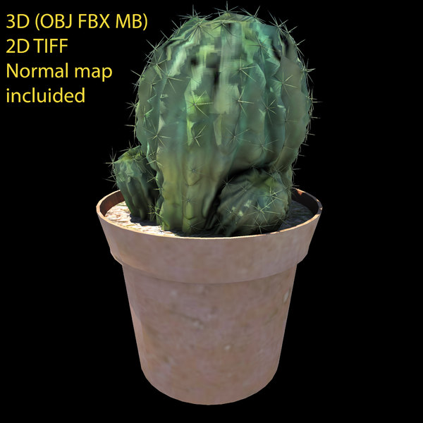 cactus 2d transparency 3d fbx