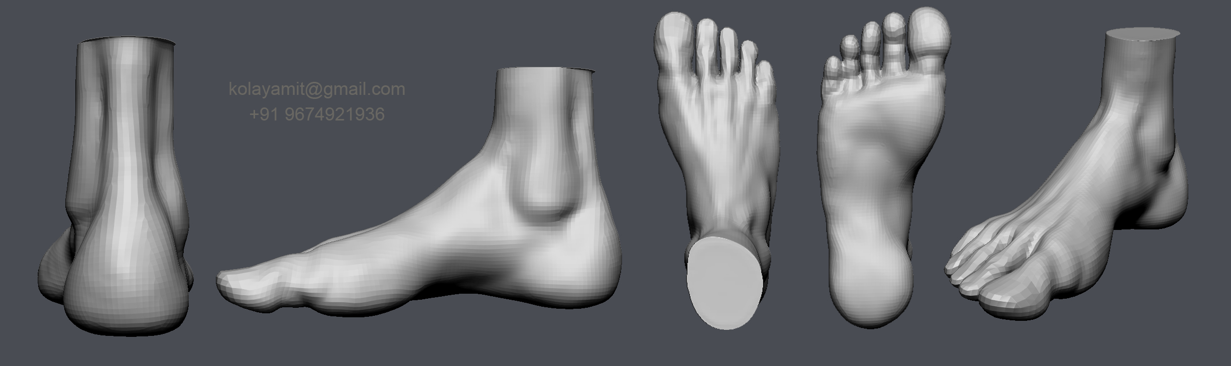 免费脚研究3D模型 - TurboSquid 883758