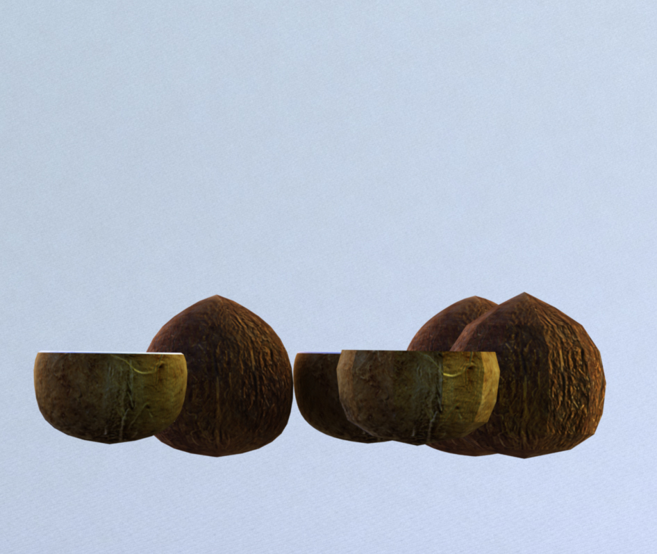 3d model coconut