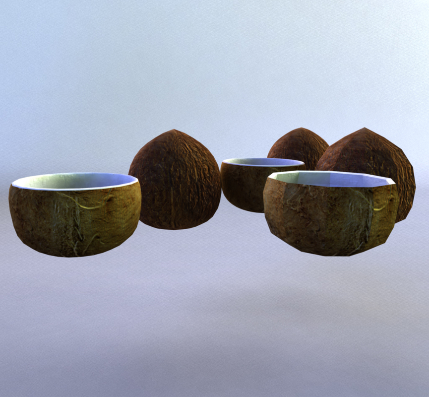 3d model coconut