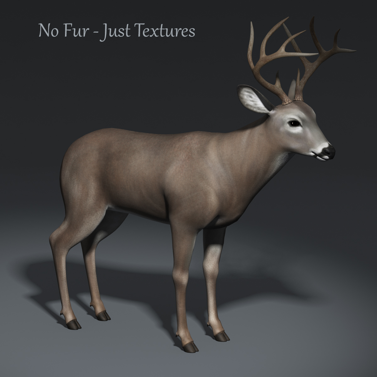 3d white tailed deer fur model