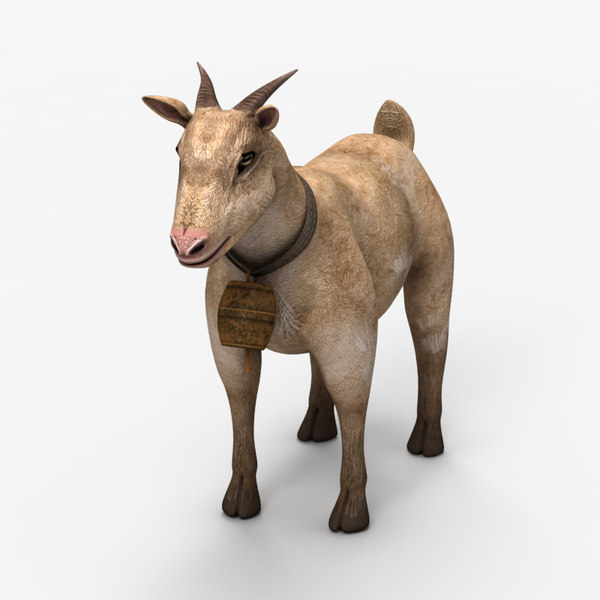 3d model goat