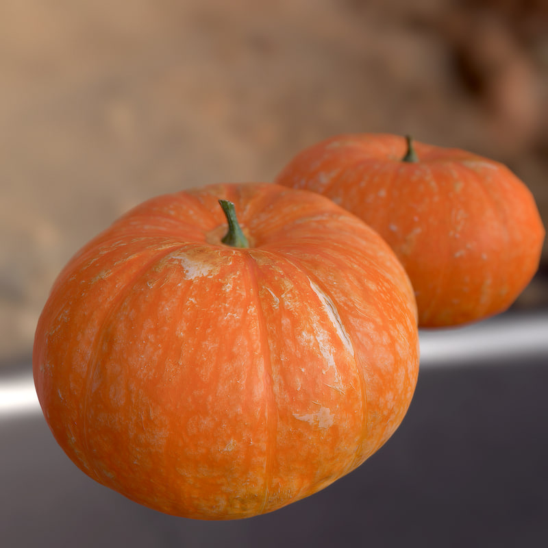 hd scaned pumpkin polys 3d model