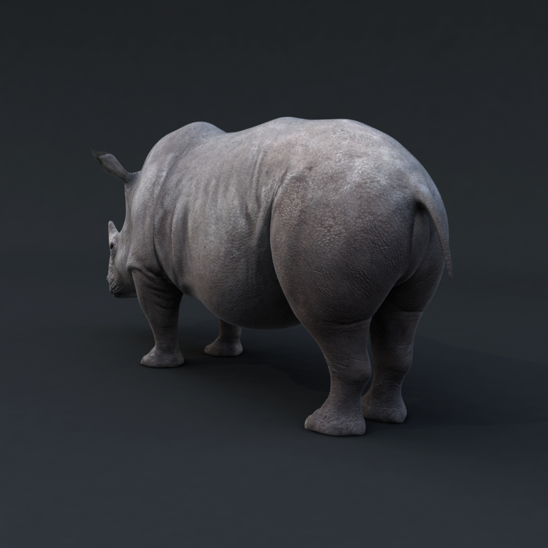 realistic rhino render 3d max