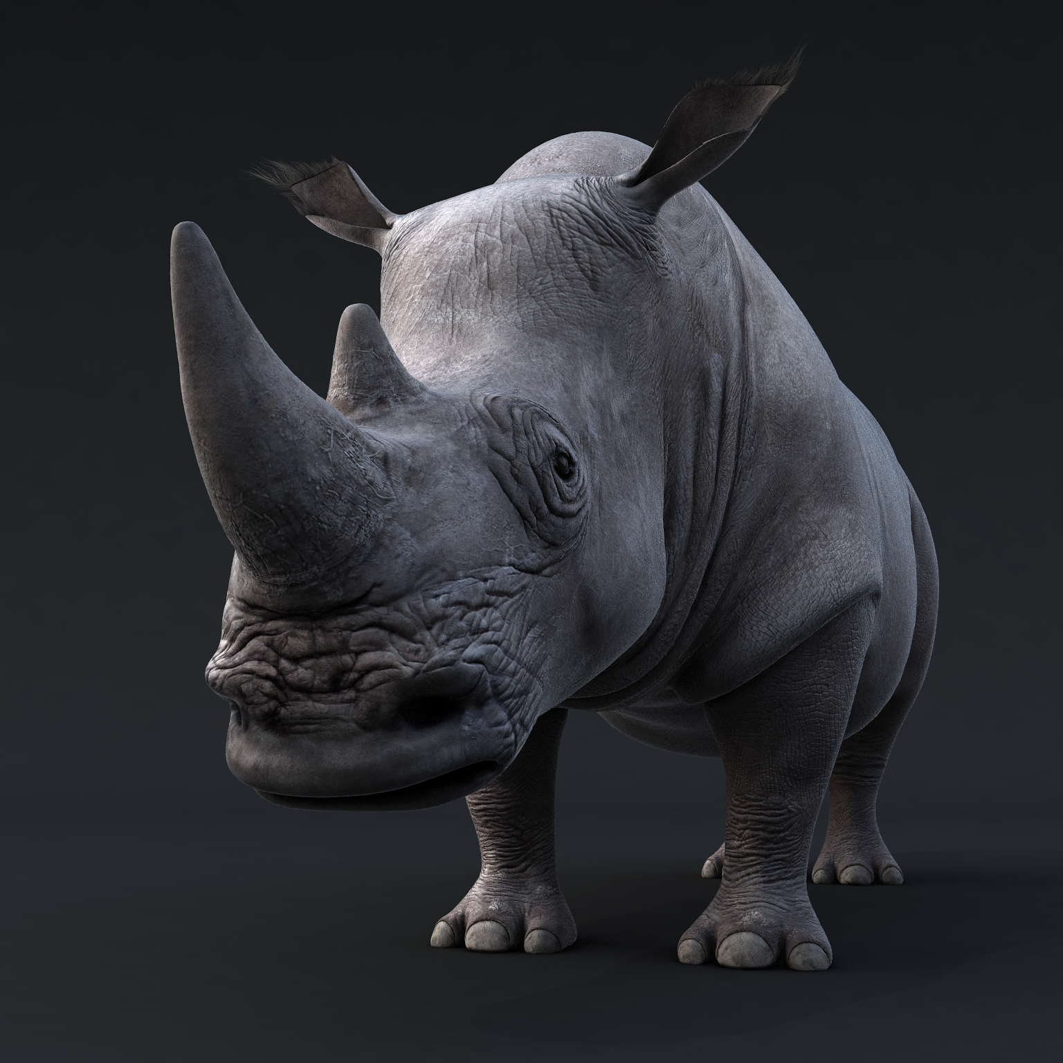 realistic rhino render 3d max