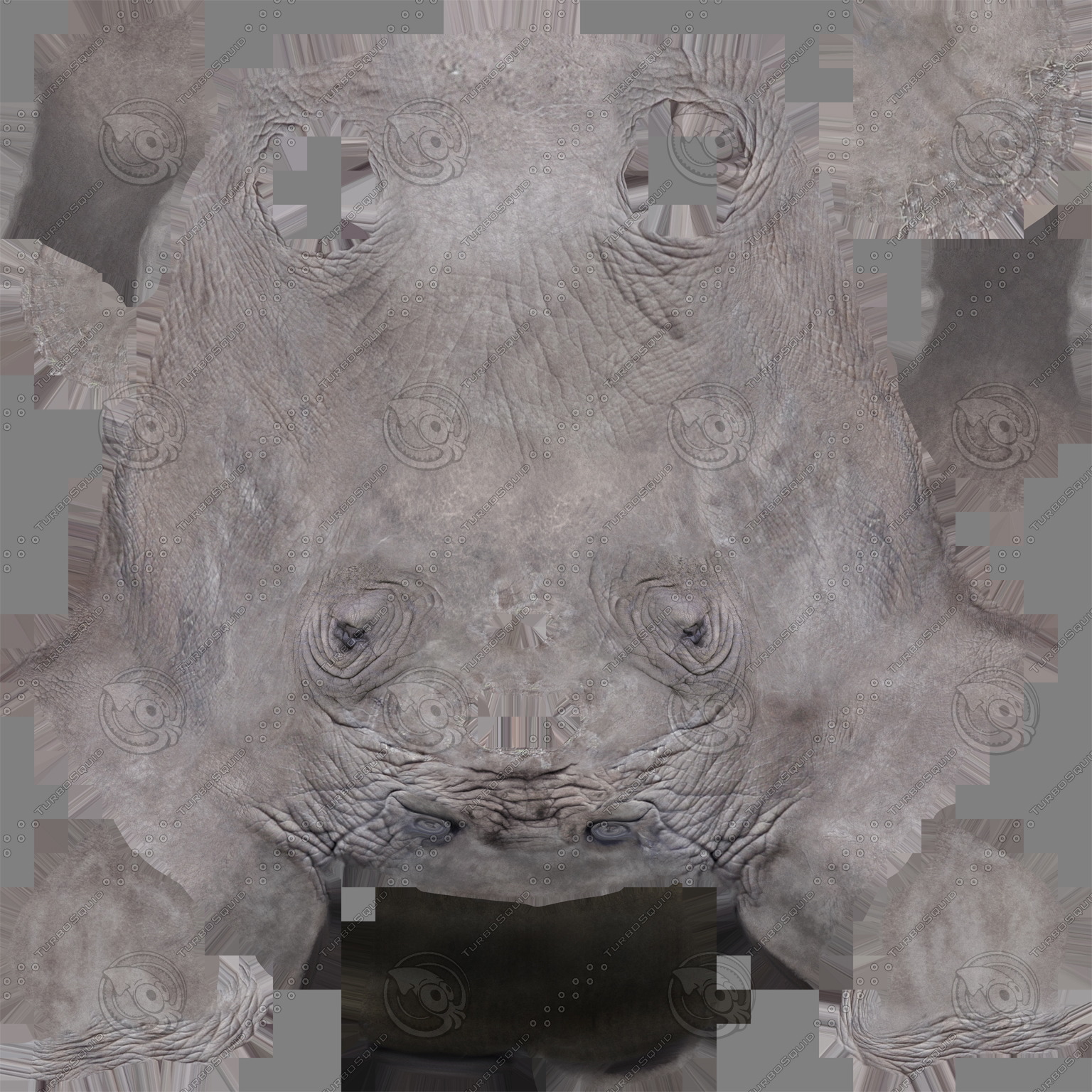 realistic rhino render 3d max