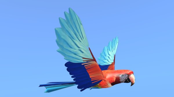 Macaw 3D Models for Download | TurboSquid