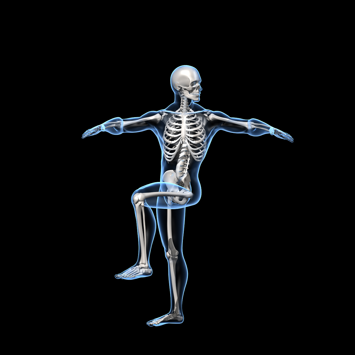 human skeletal rigged skeleton 3d c4d