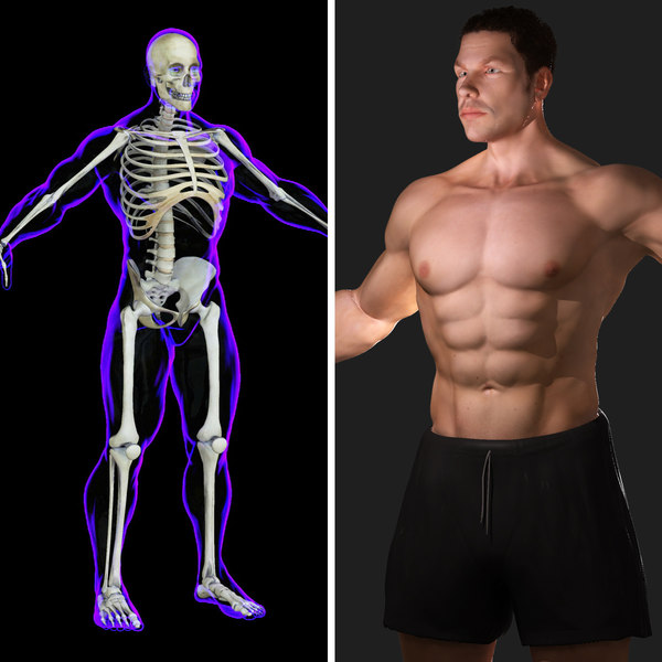 x-ray skeleton xray body human obj