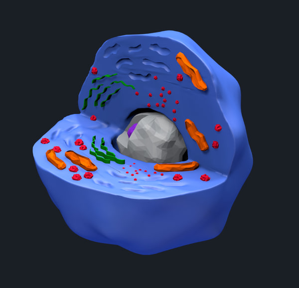 3ds max human cell color
