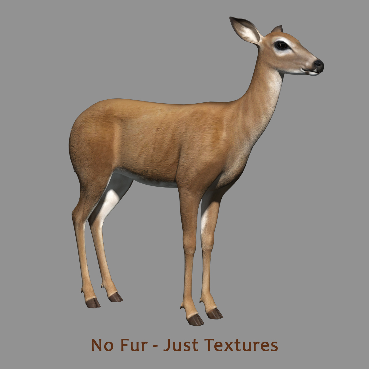 3d white tailed doe fur