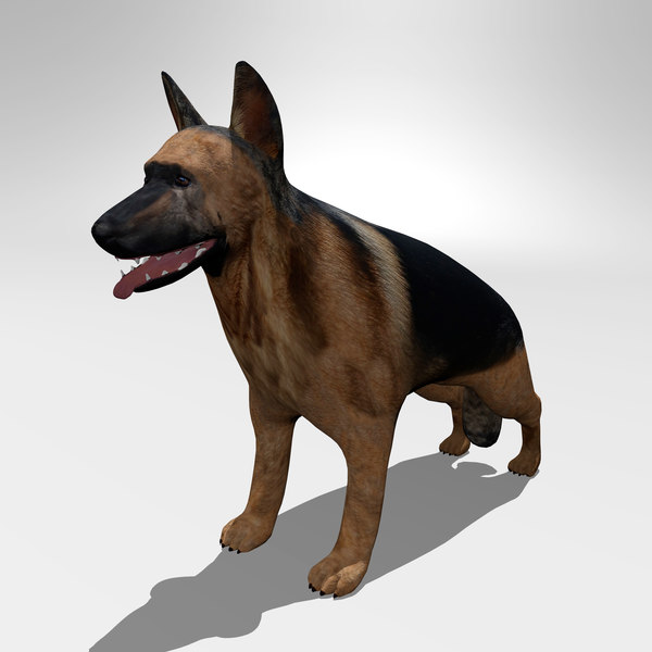 3D Shepherd Models | TurboSquid