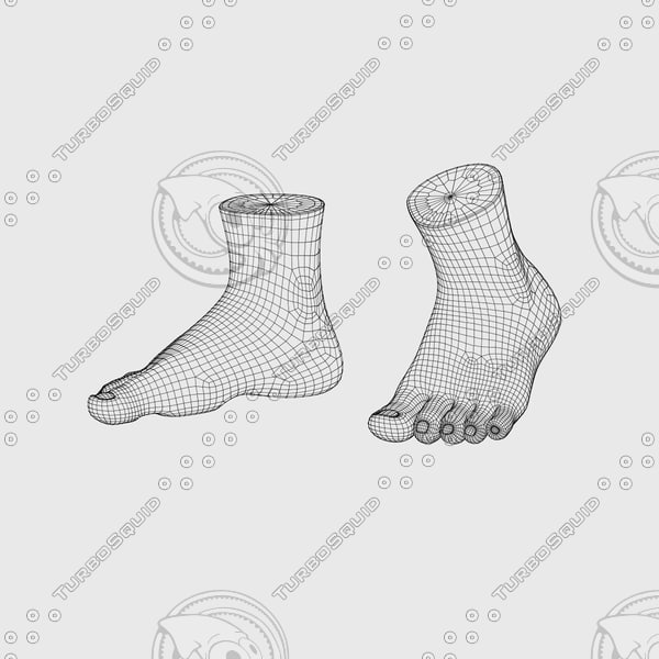 modeled anatomy medical obj