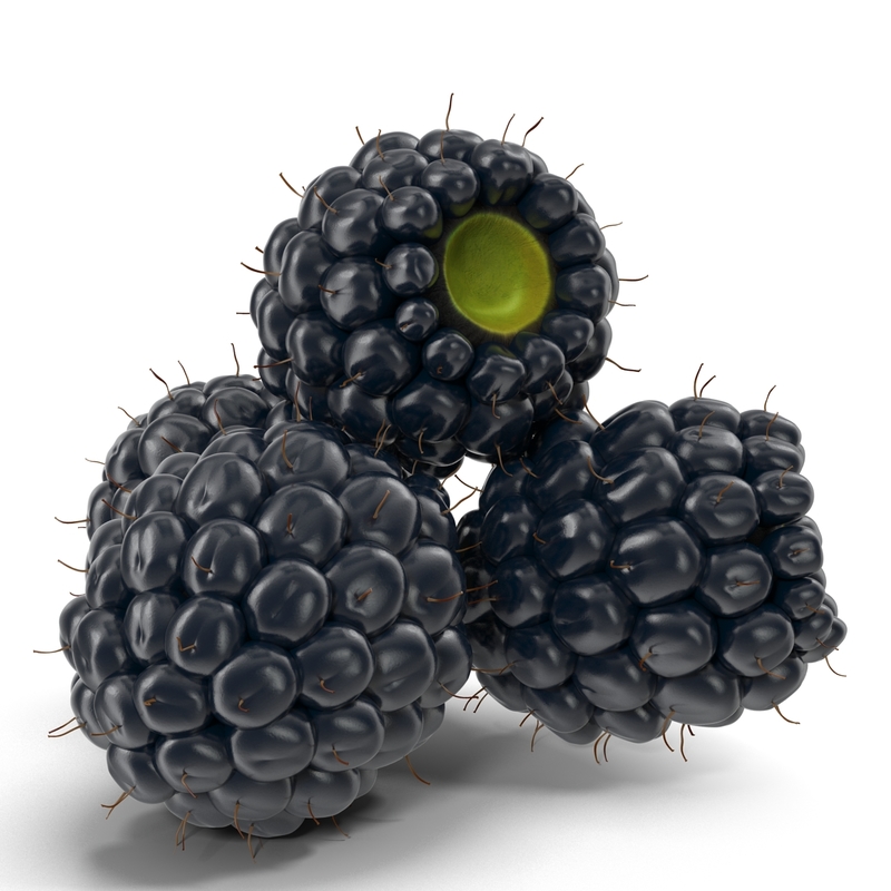 dewberry berry 3d model