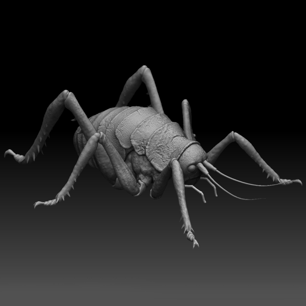 3d model weta