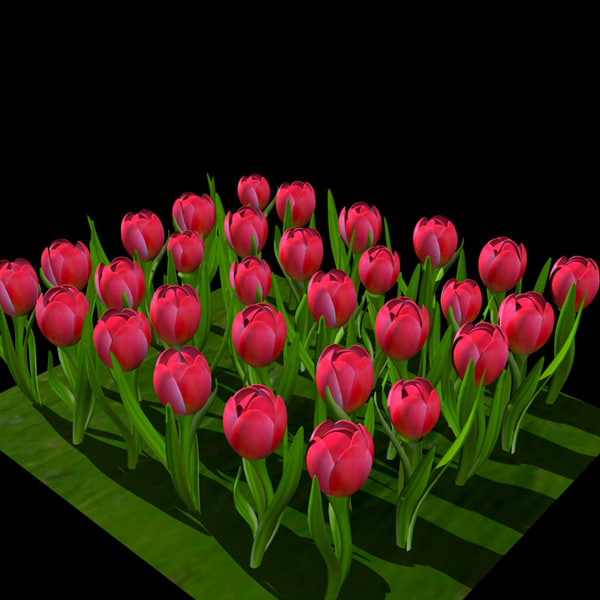 modelo 3d Tulipán rojo - TurboSquid 888541