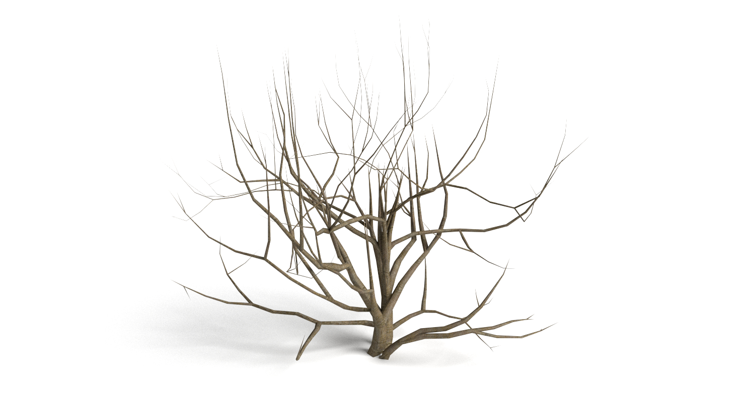 3d model dead bush