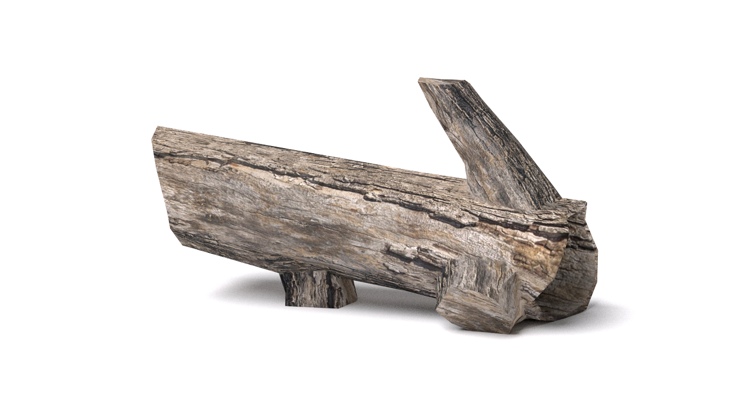 dead log 3d model