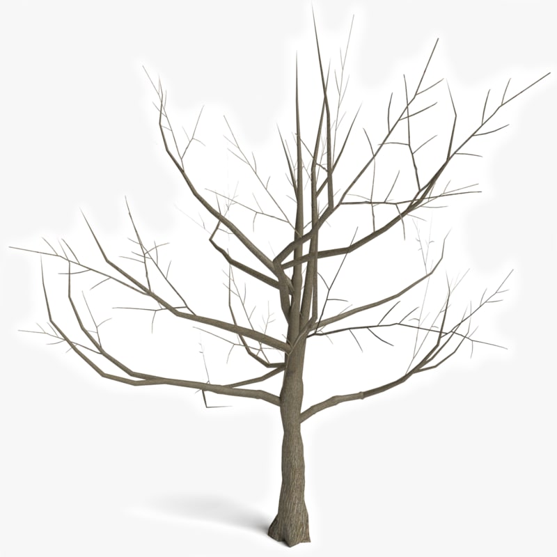 dead tree 3d obj