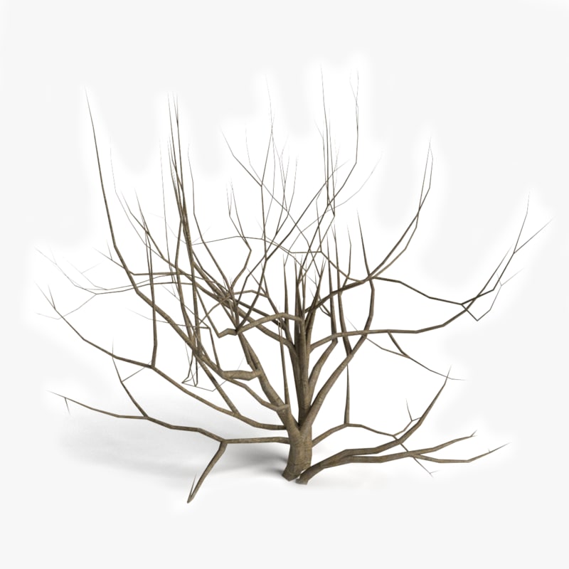 3d model dead bush